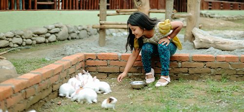 Attractions – Dirty Duck Outdoor & Farm